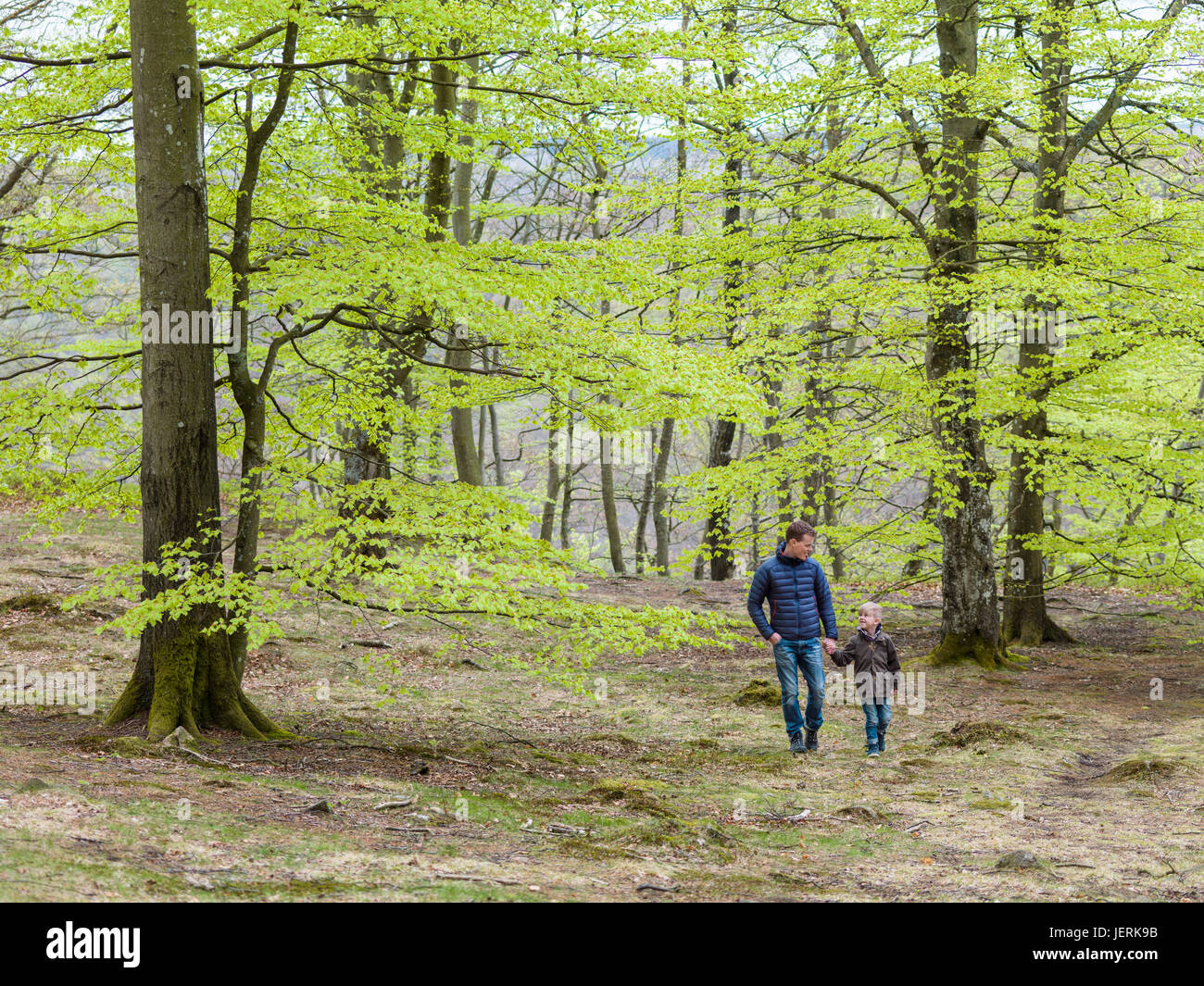 Father with son walking in forest Stock Photo - Alamy