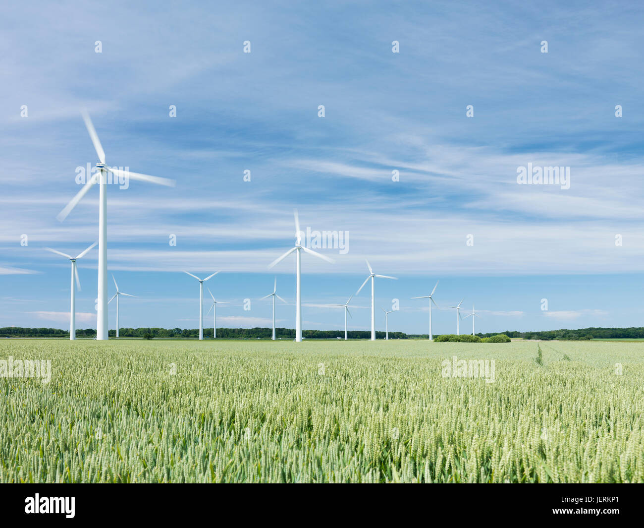 Wind turbines on wheat field Stock Photo - Alamy