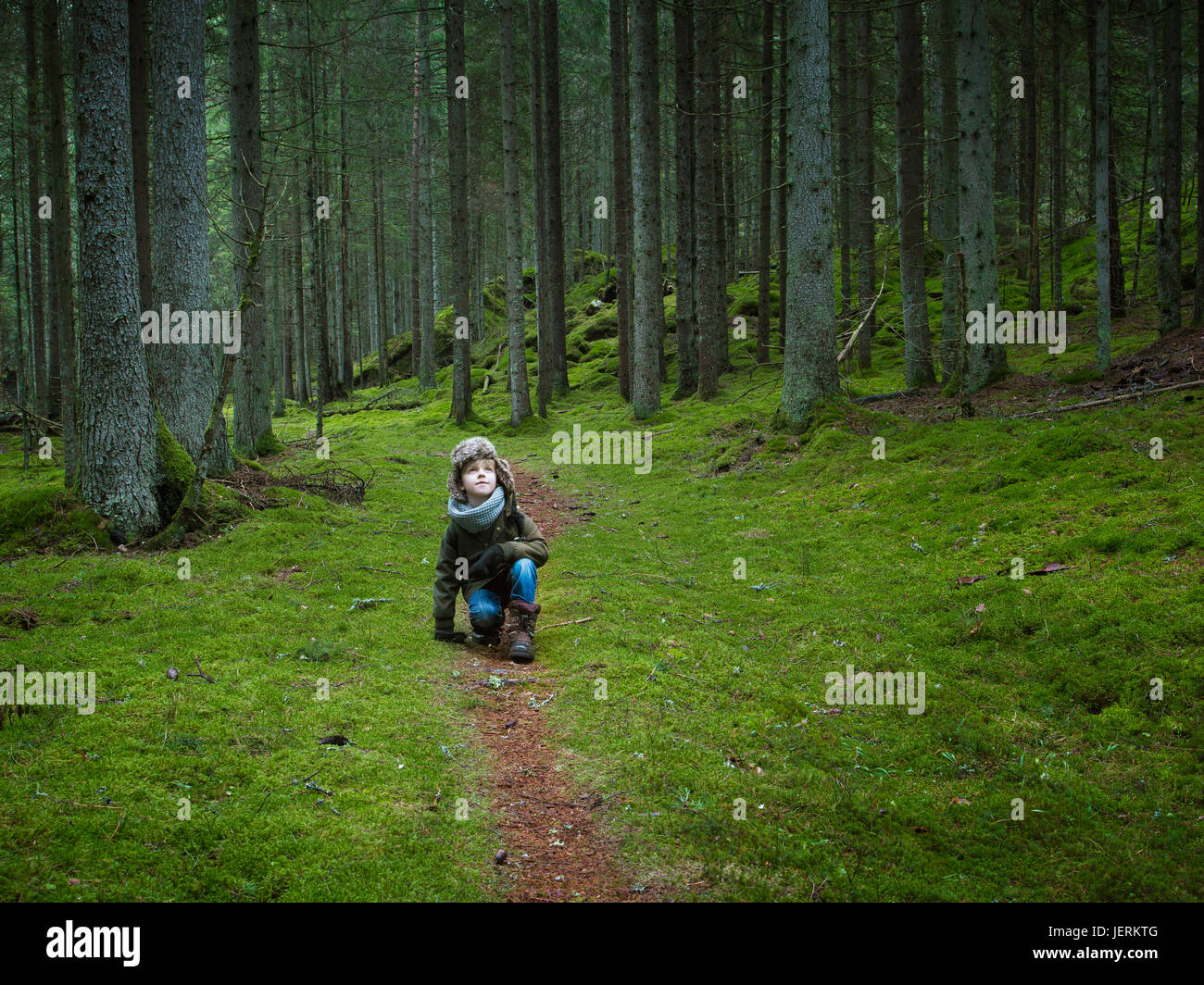 Boy in forest Stock Photo - Alamy