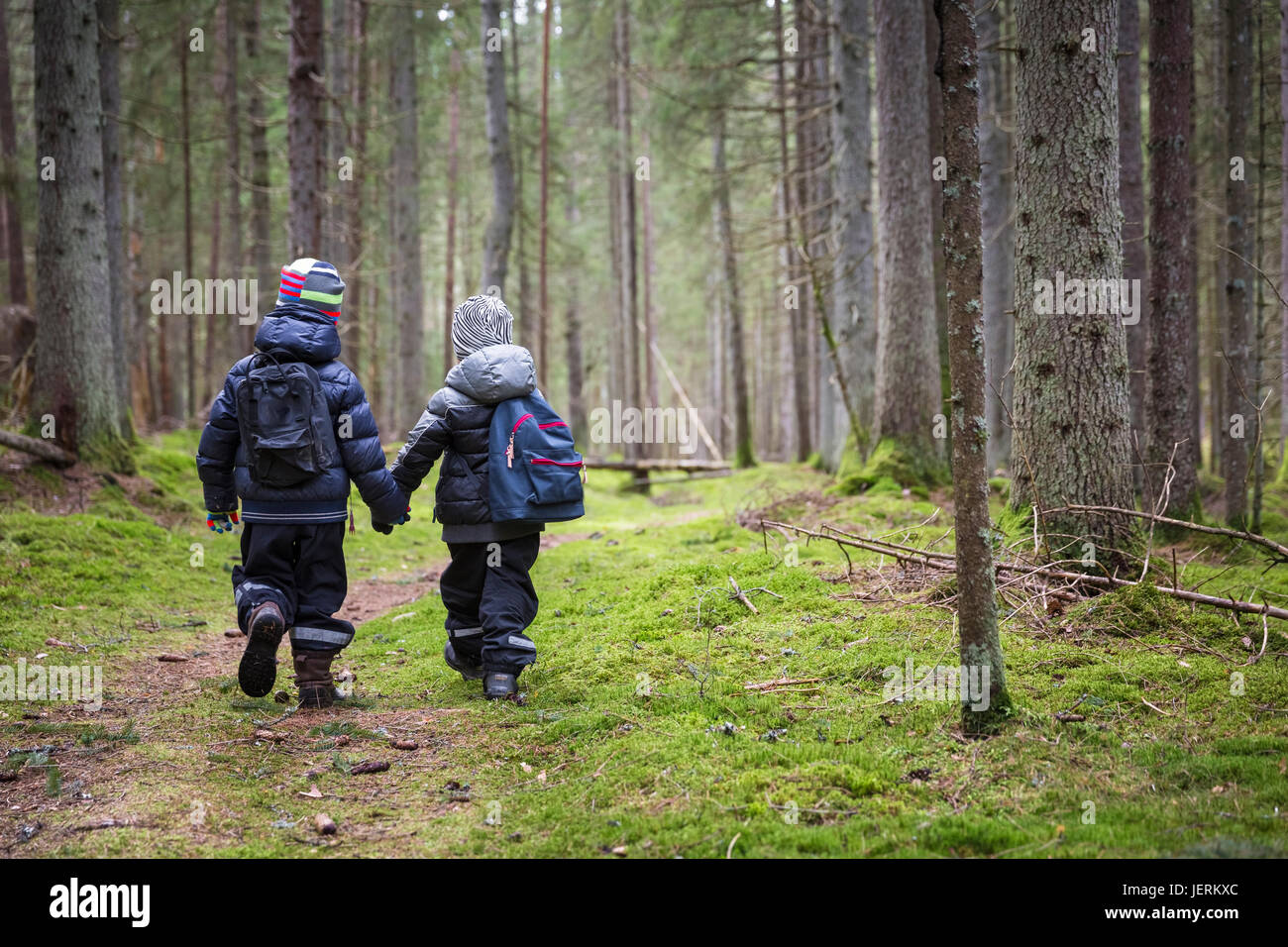Children walking in forest Stock Photo - Alamy