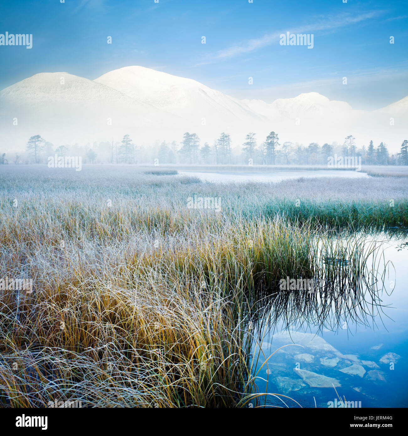 Rondane national park winter hi-res stock photography and images - Alamy