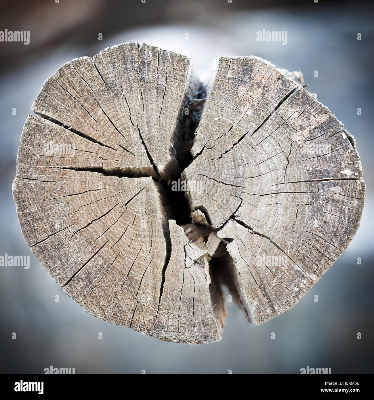 Close-up of cracked log Stock Photo - Alamy