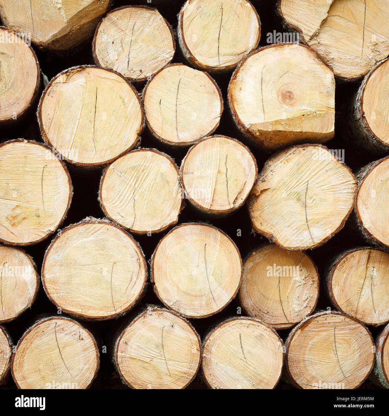 Furu tree hi-res stock photography and images - Alamy