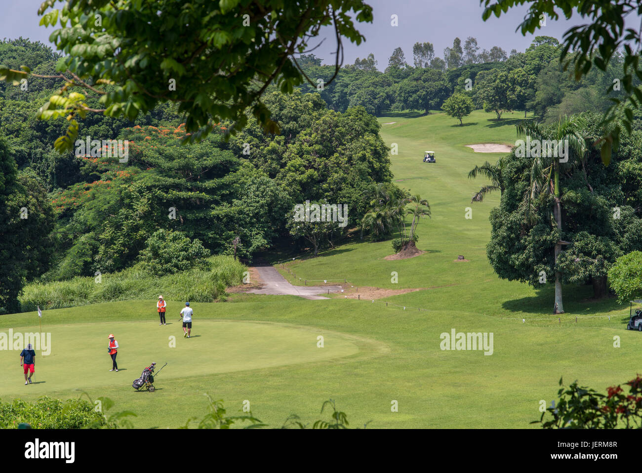 green in golf club at the Philippines Stock Photo - Alamy