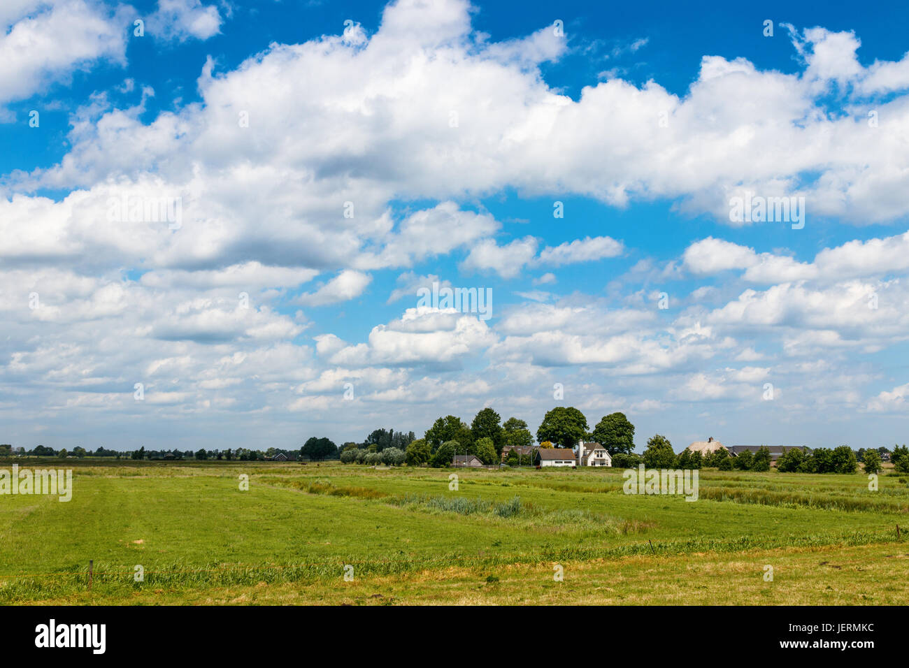 Flat Grassy Landscape