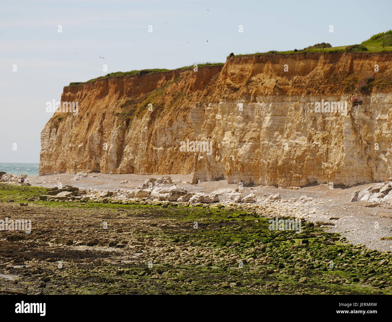 Seaford Head Cliffs Stock Photo - Alamy