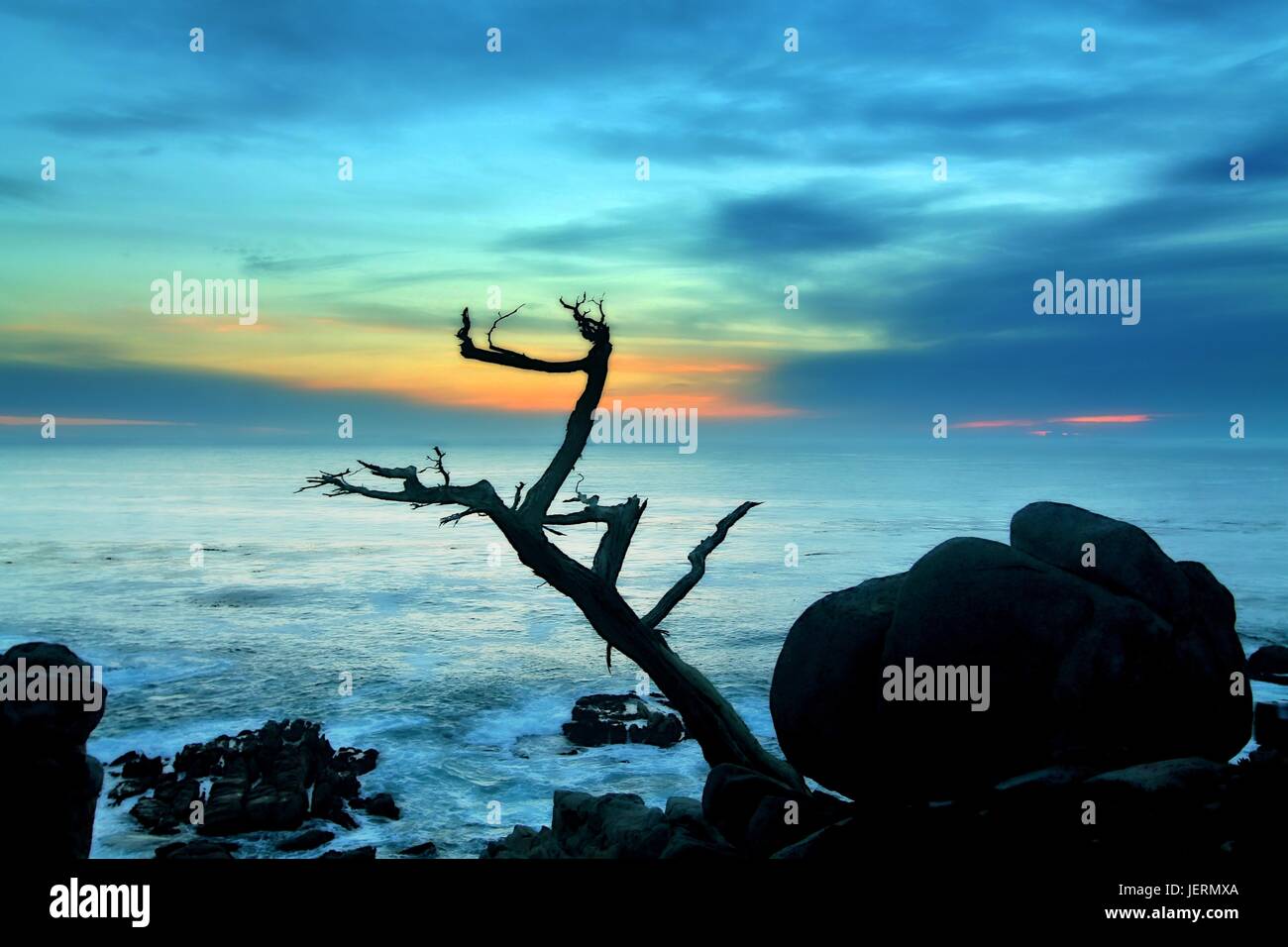 tree at the ocean with beautiful sunset sky Stock Photo - Alamy