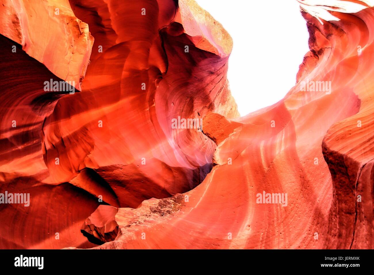 Rock antelope hi-res stock photography and images - Alamy