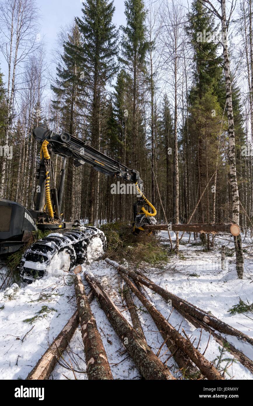 Tree log cutting hi-res stock photography and images - Alamy