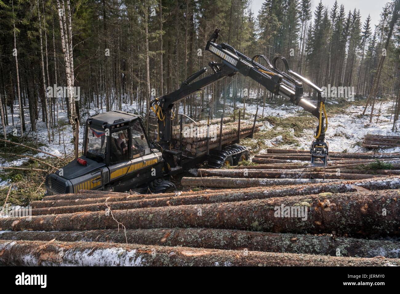 Woodworking. Logger loads harvested trunks Stock Photo - Alamy
