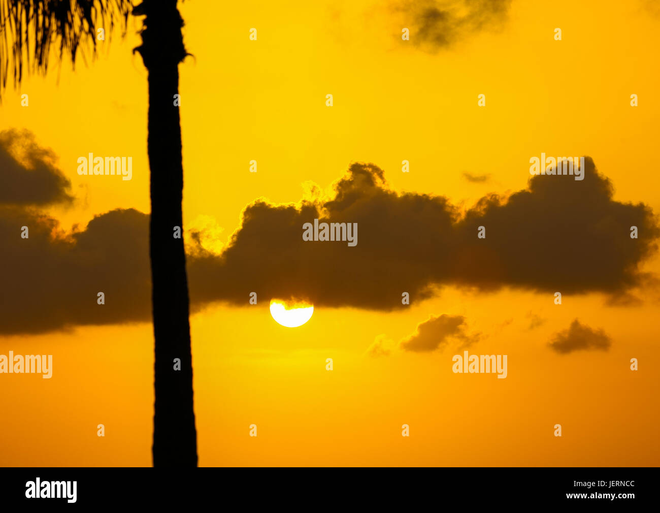 Sun Goes Down in Key West Stock Photo - Alamy