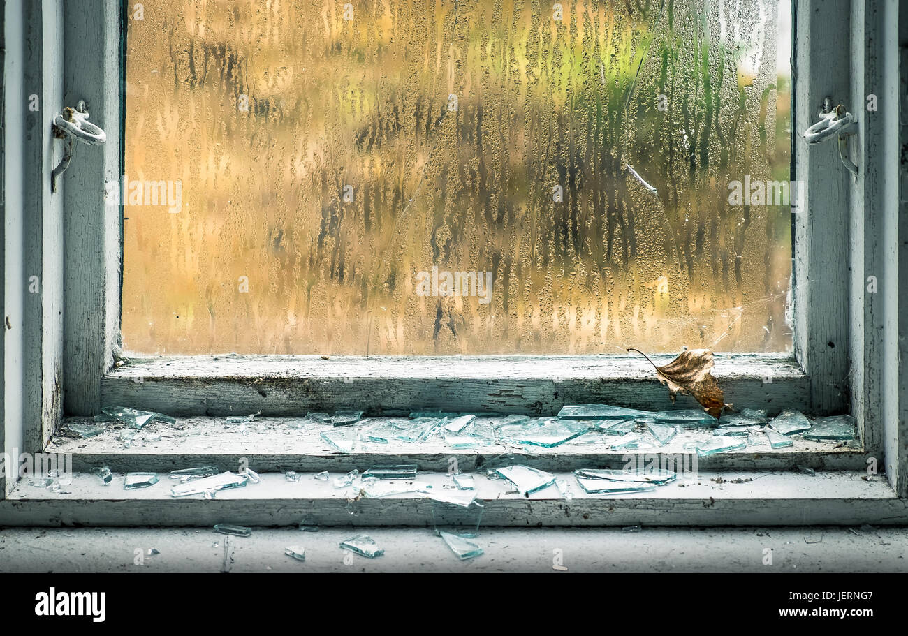 Broken window with fragment and emaciated leaf Stock Photo - Alamy