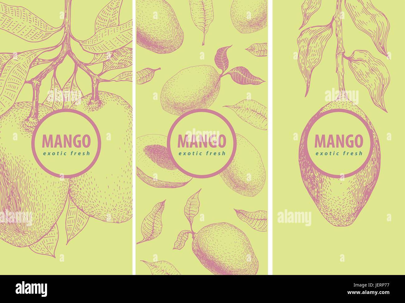 Set of three labels with mango branch and fruits. Great for traditional ...