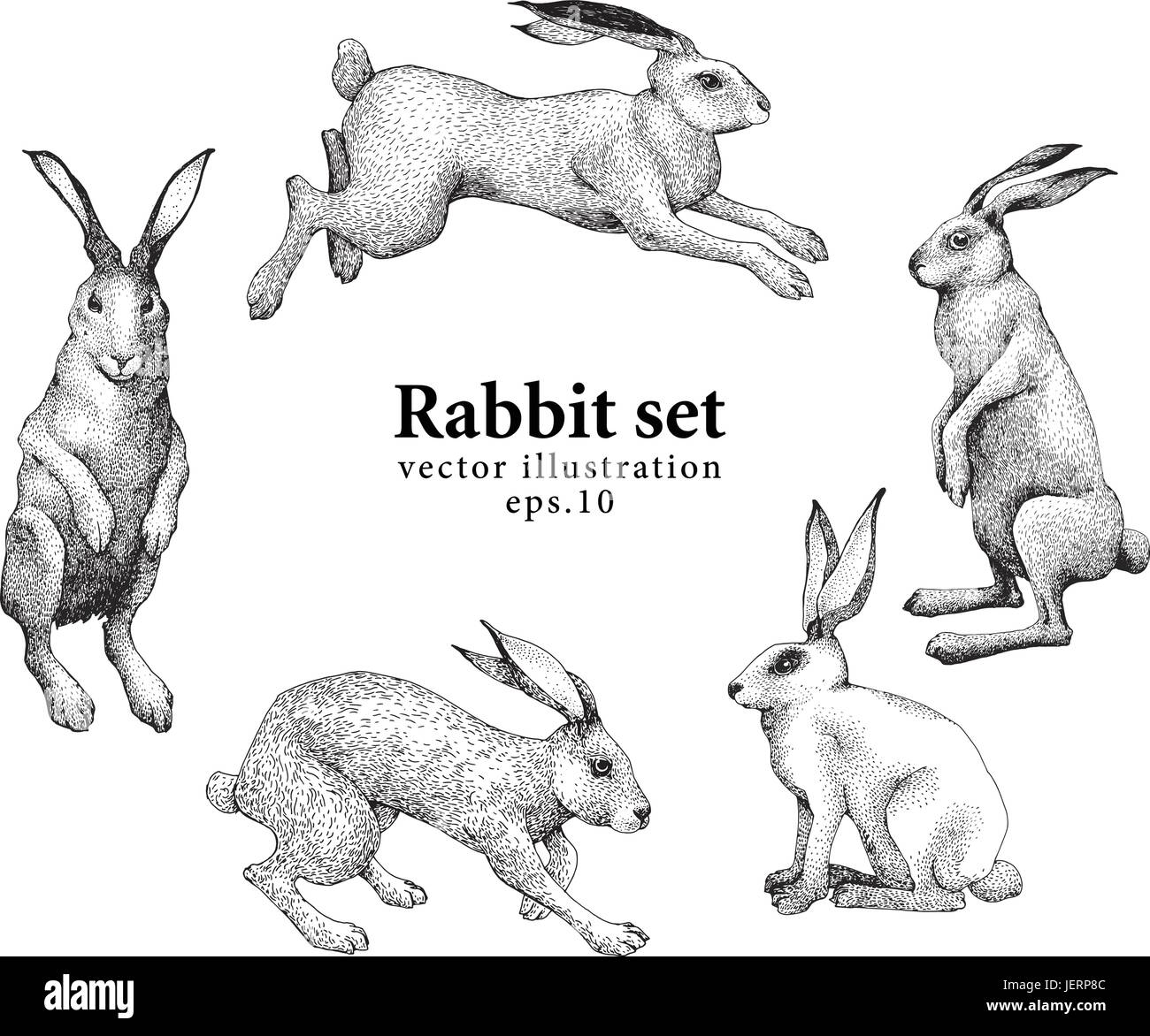 Rabbit Illustrations Black and White Stock Photos & Images - Alamy