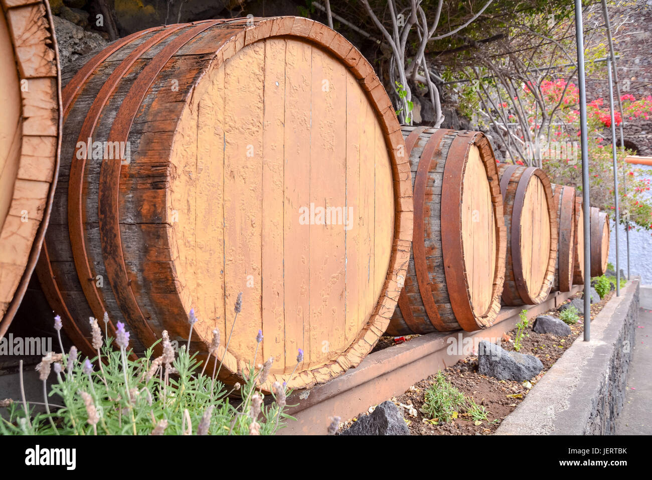Wooden Wine Barrel Stock Photo - Alamy