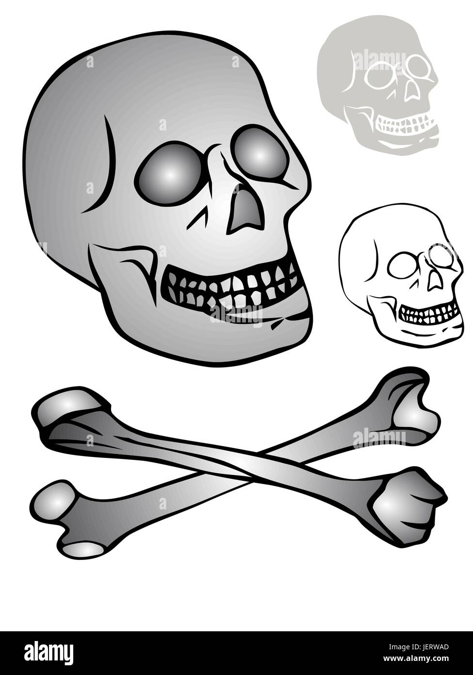 isolated, skull, scary, creepy, halloween, vector, isolated ...