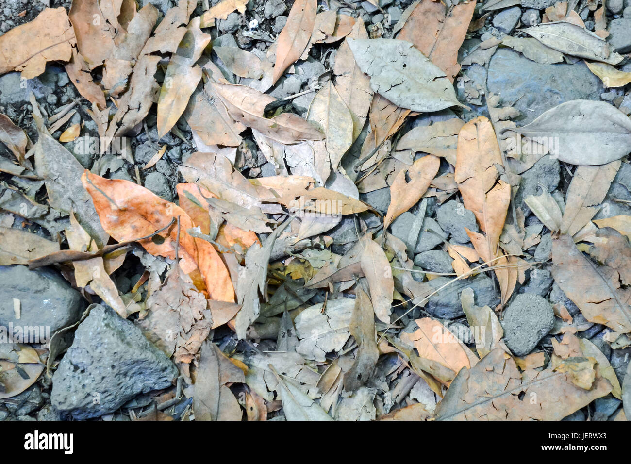 Leaf Background Texture Pattern Stock Photo - Alamy