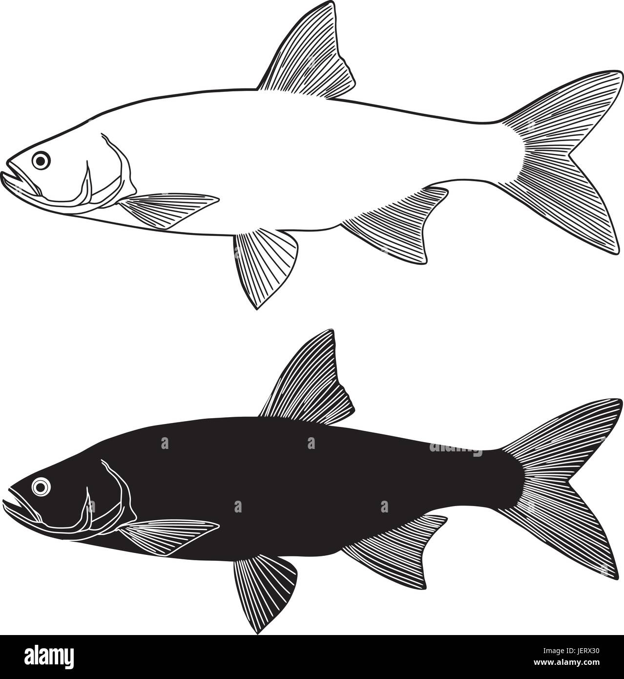 Arid fishing Stock Vector Images - Alamy