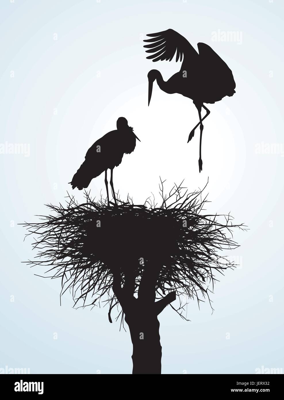 birth, childbirth, parturition, delivery, animal, swamp, stork ...