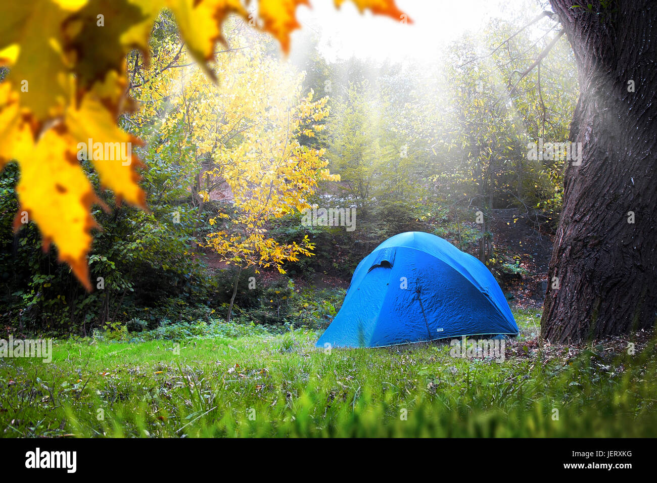 single blue tent in colorful forest Stock Photo - Alamy