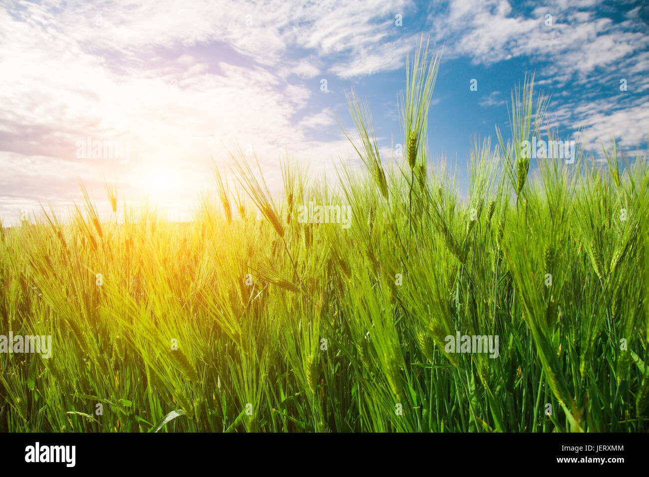 Green field and cloudy sky hi-res stock photography and images - Alamy