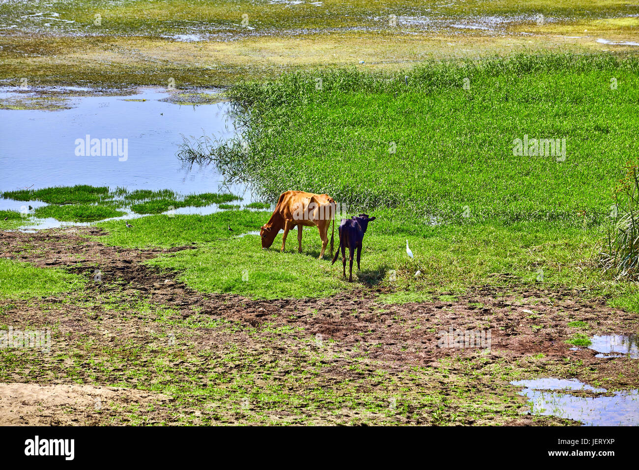 Nile river valley map hi-res stock photography and images - Alamy