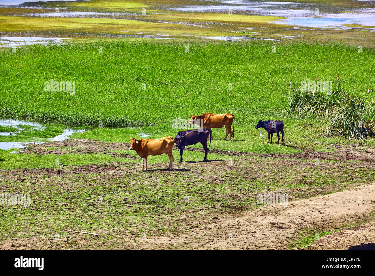 Nile river valley map hi-res stock photography and images - Alamy
