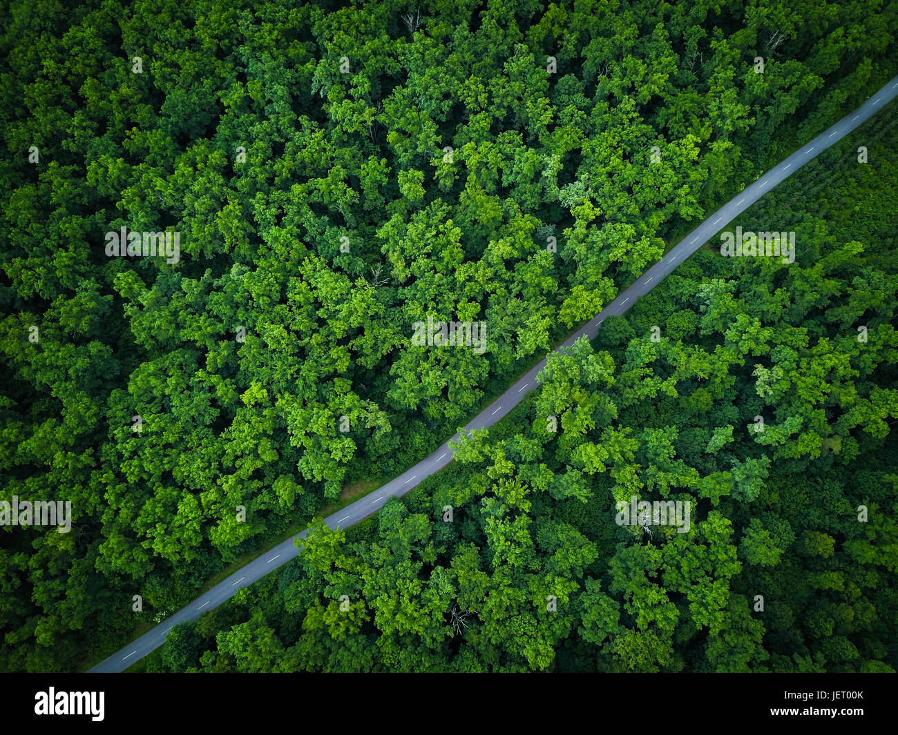 Road through the forest, view from height - aerial view Stock Photo - Alamy