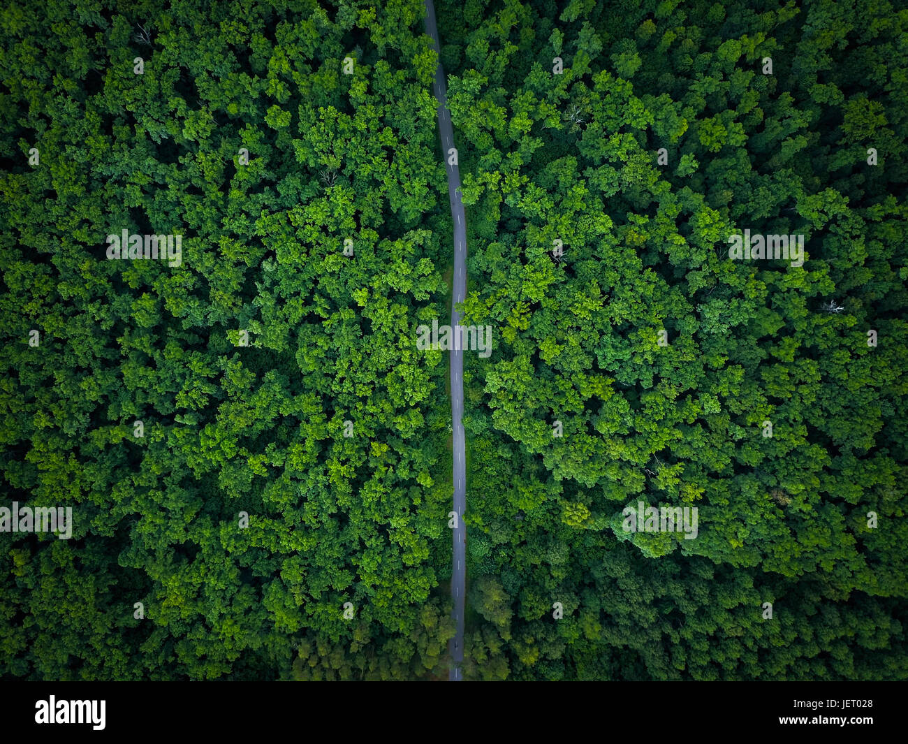 Road through the forest, view from height - aerial view Stock Photo - Alamy