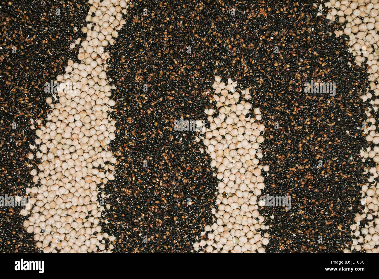 Abstract agricultural background, various seeds forming pattern Stock ...