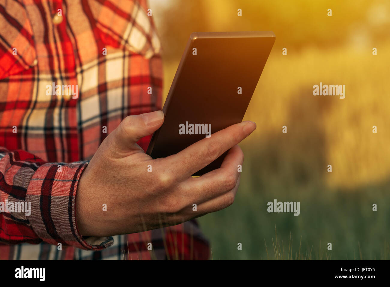 Agronomist using smart phone camera mobile app to photograph crops in ...