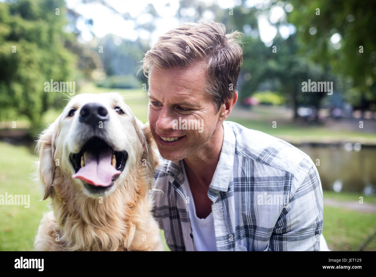 Dog together hi hi-res stock photography and images - Alamy