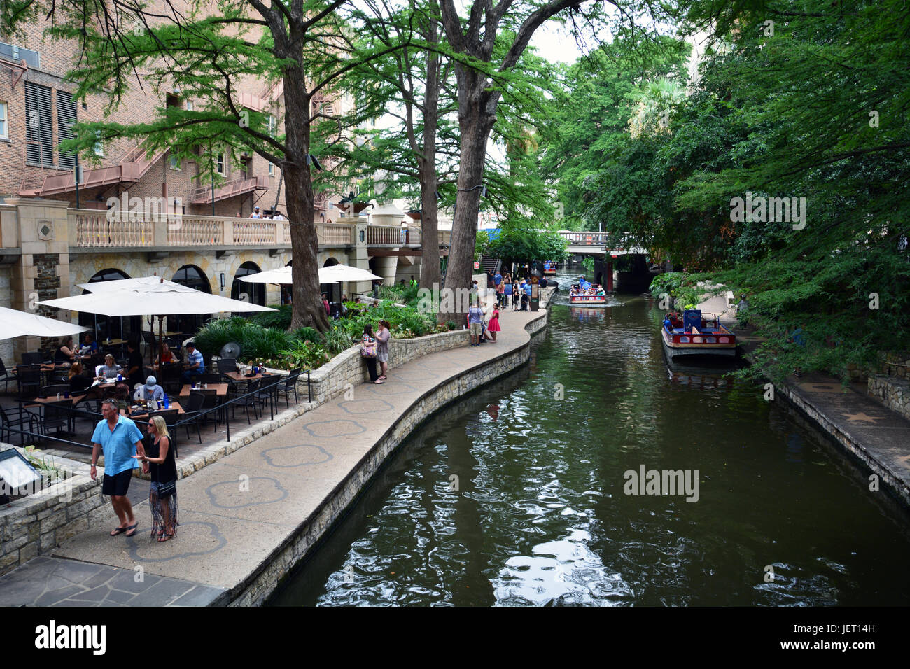 Giant cypress hi-res stock photography and images - Alamy