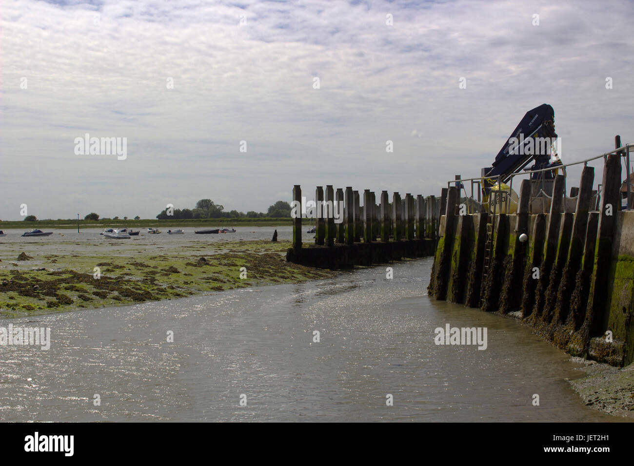 Dredged seaweed beds hi-res stock photography and images - Alamy