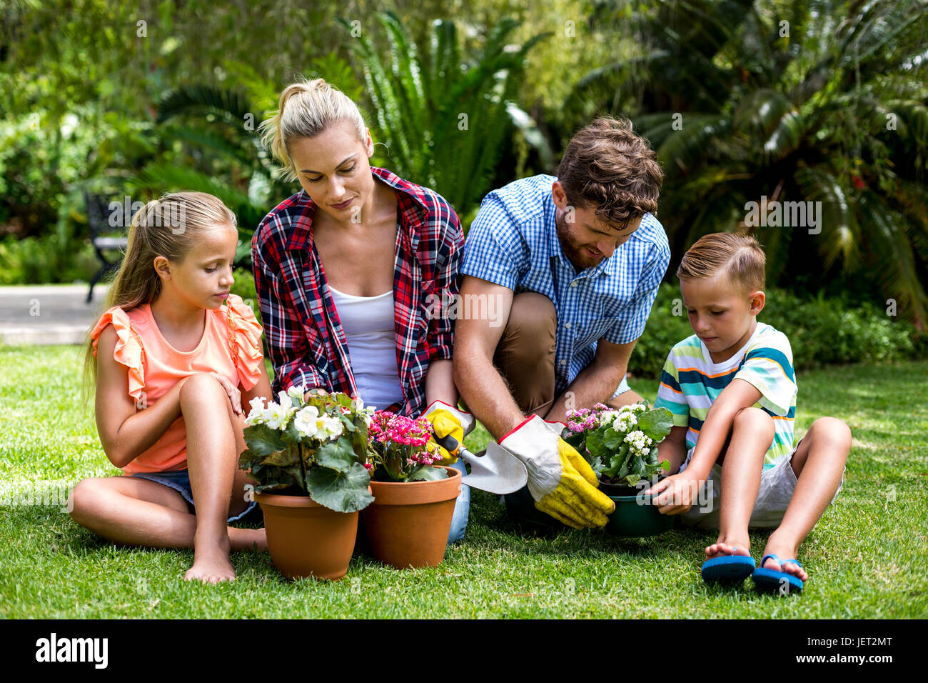 Family gardening with flower pots at yard Stock Photo - Alamy