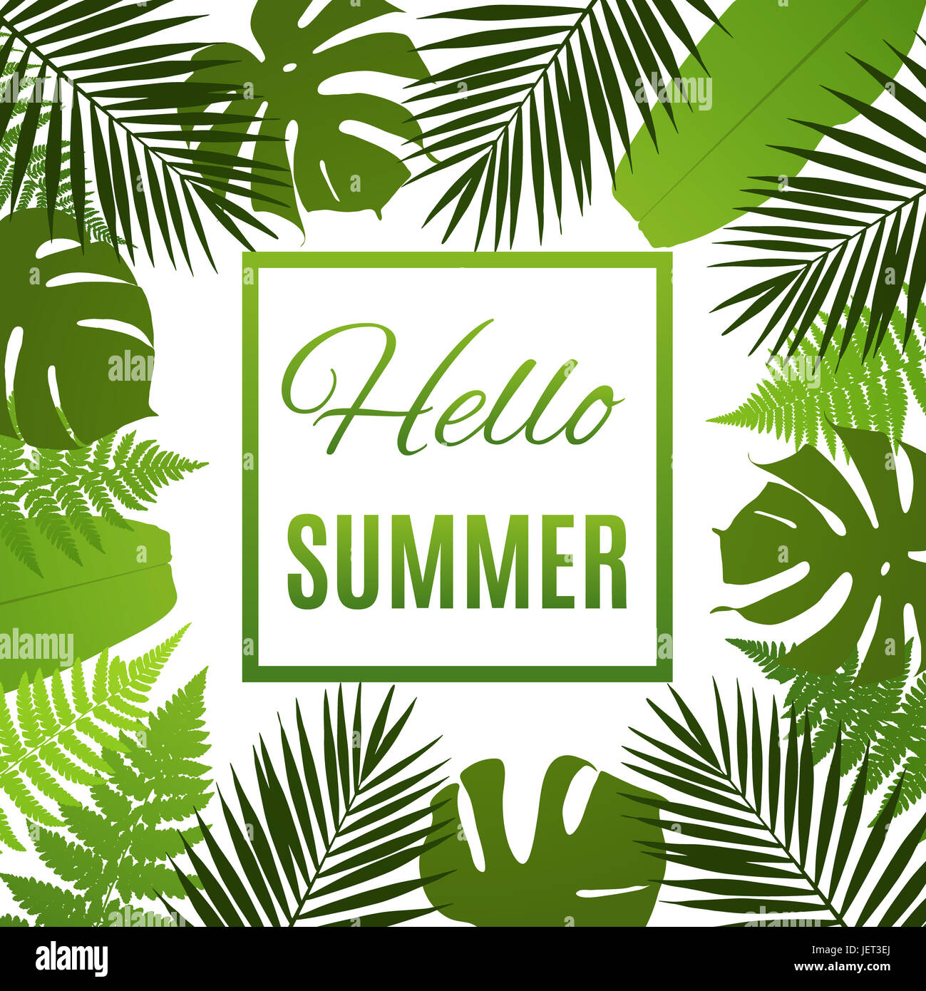 Tropical background with palms and ferns. Vector illustration Stock ...
