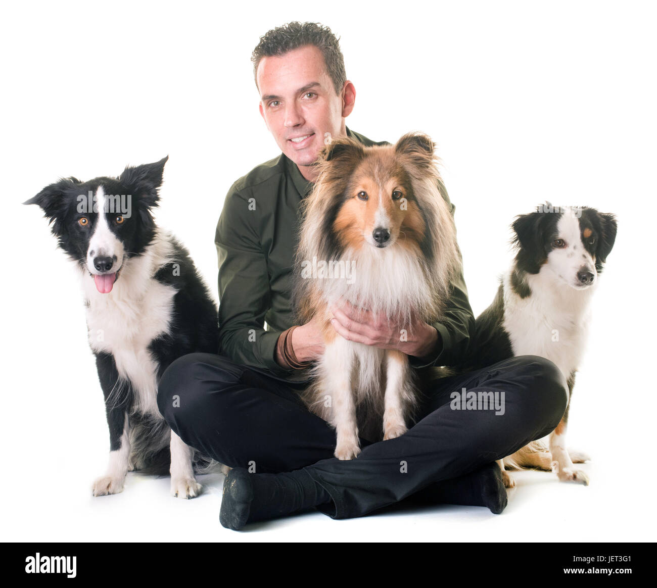 three dogs and man in front of white background Stock Photo - Alamy