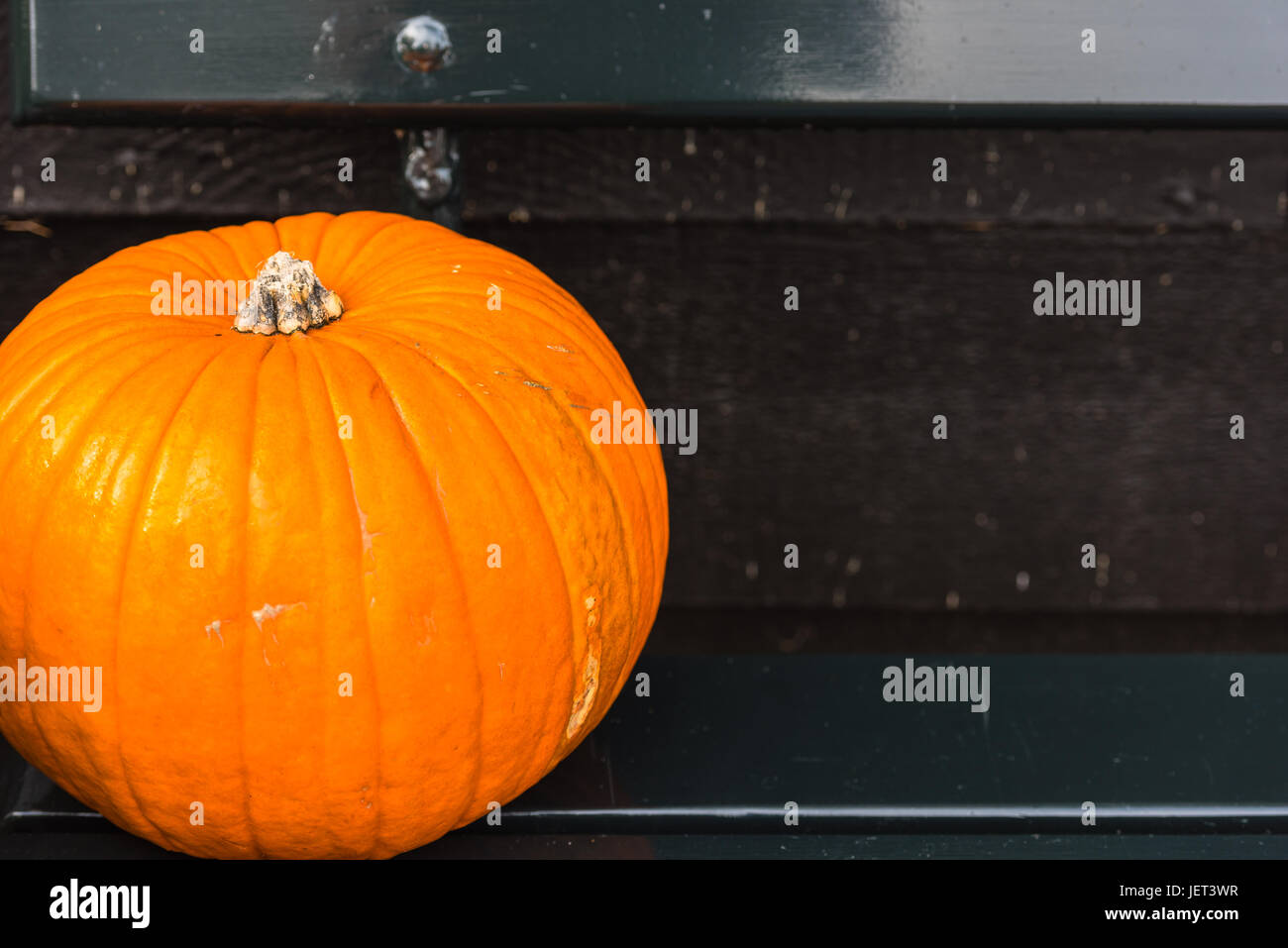 Orange pumpkin on a wooden bench. Shot with selective focus Stock Photo ...