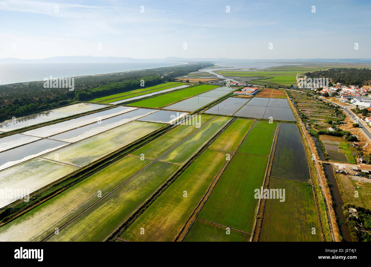 Aerial view of rice fields. Comporta, Alentejo, Portugal Stock Photo ...