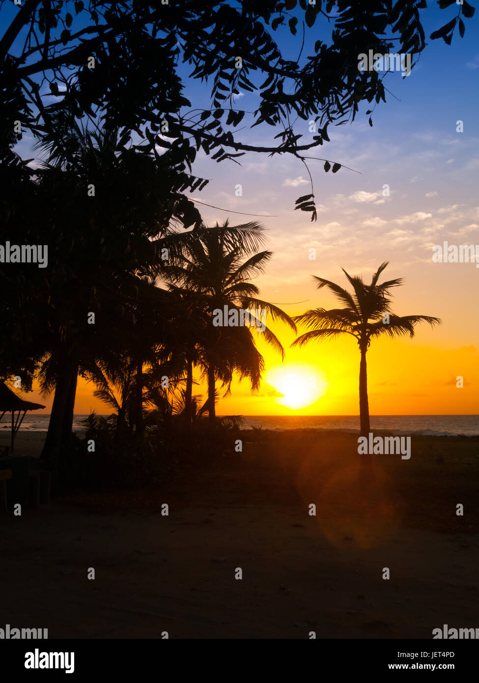Setting sun hidden by tree hi-res stock photography and images - Alamy