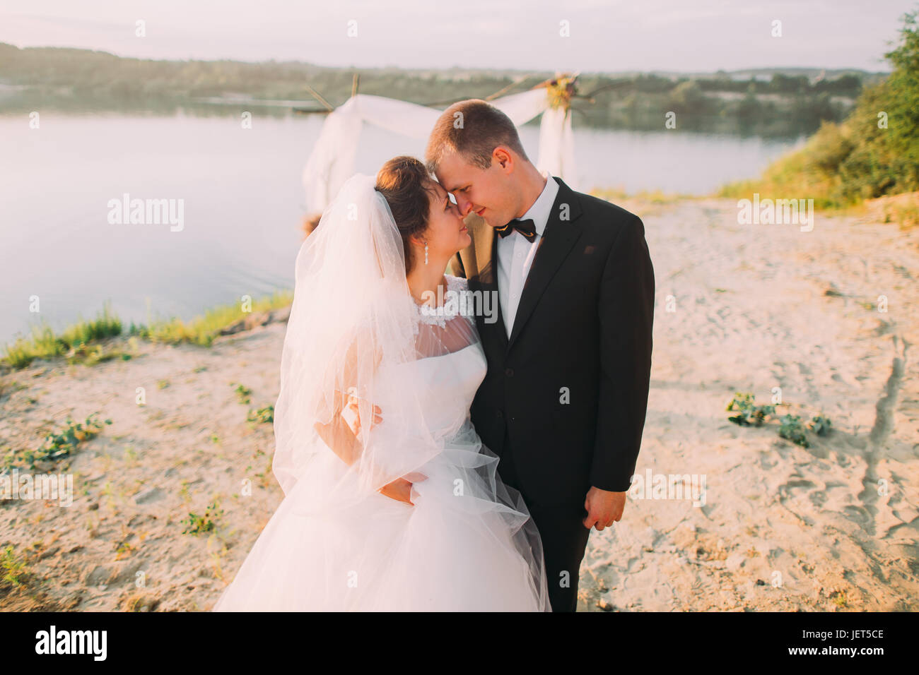 The horizontal close-up portrait of the smiling newlywed couple ...