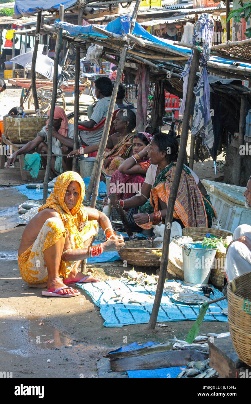 Bengali fishes hi-res stock photography and images - Alamy