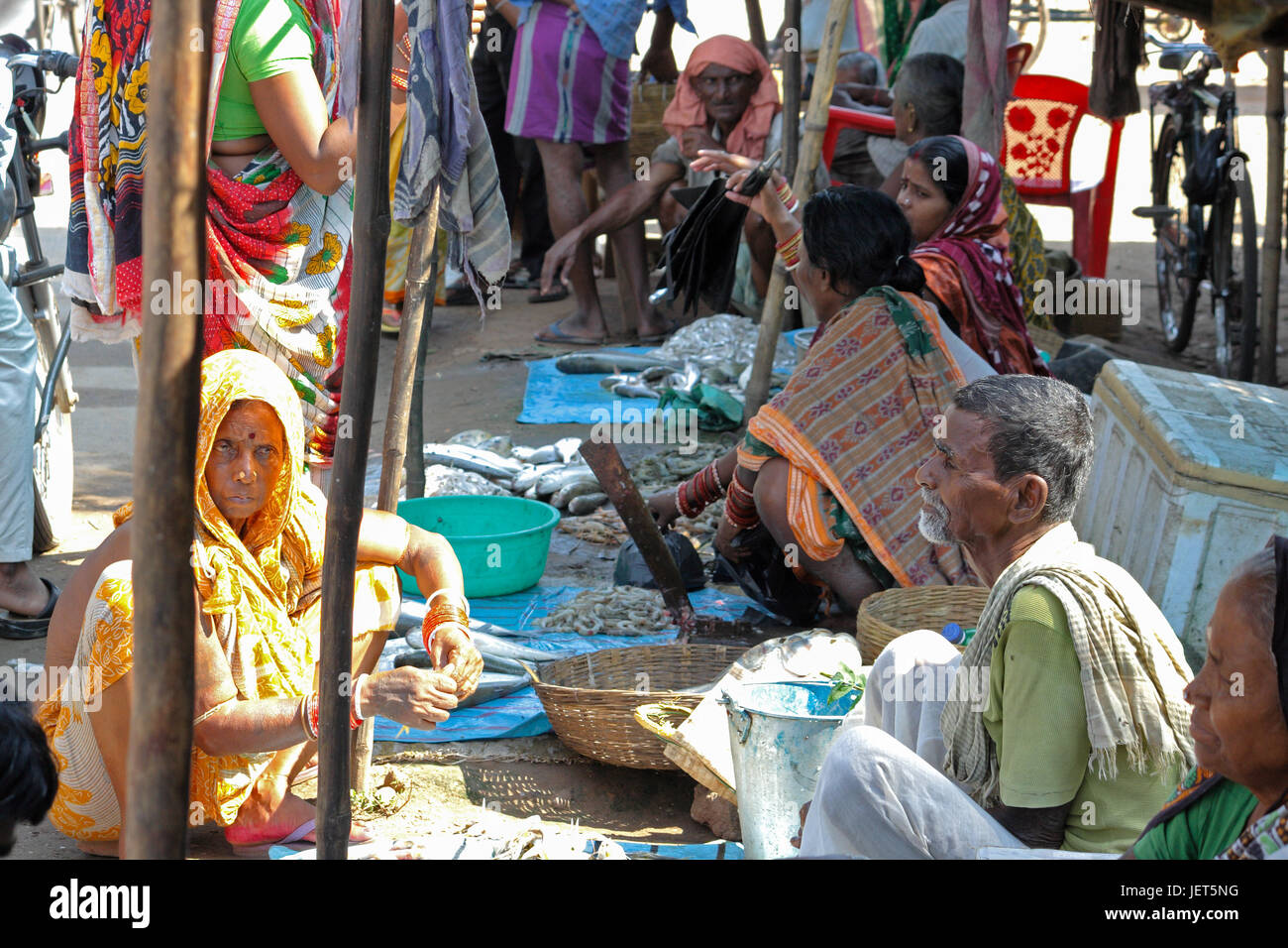 Bengali fishes hi-res stock photography and images - Alamy