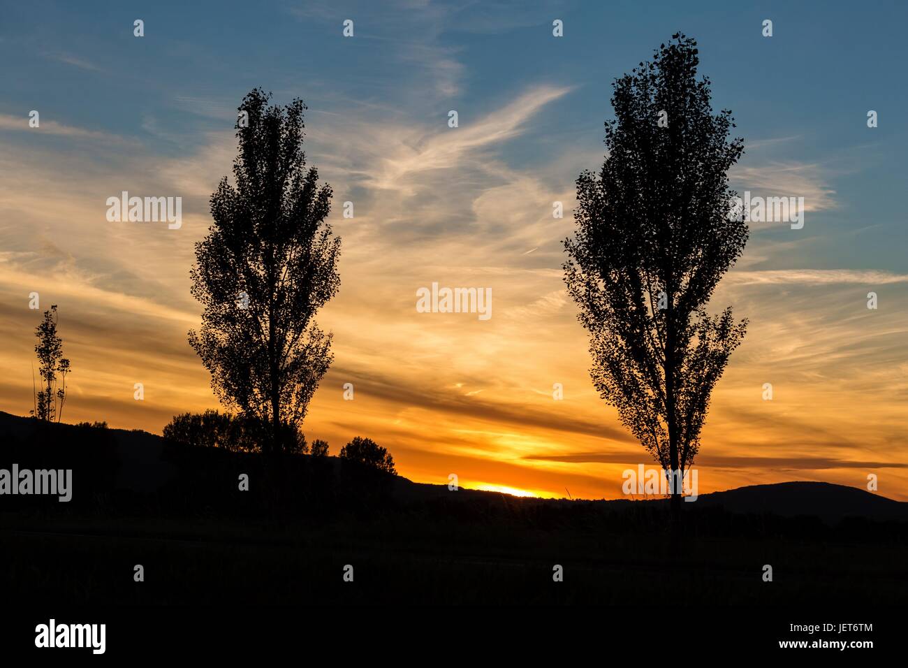 Beautiful sunset landscape with trees Stock Photo - Alamy