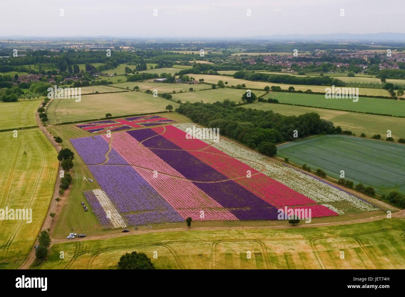 Confetti flower fields worcestershire hi-res stock photography and ...