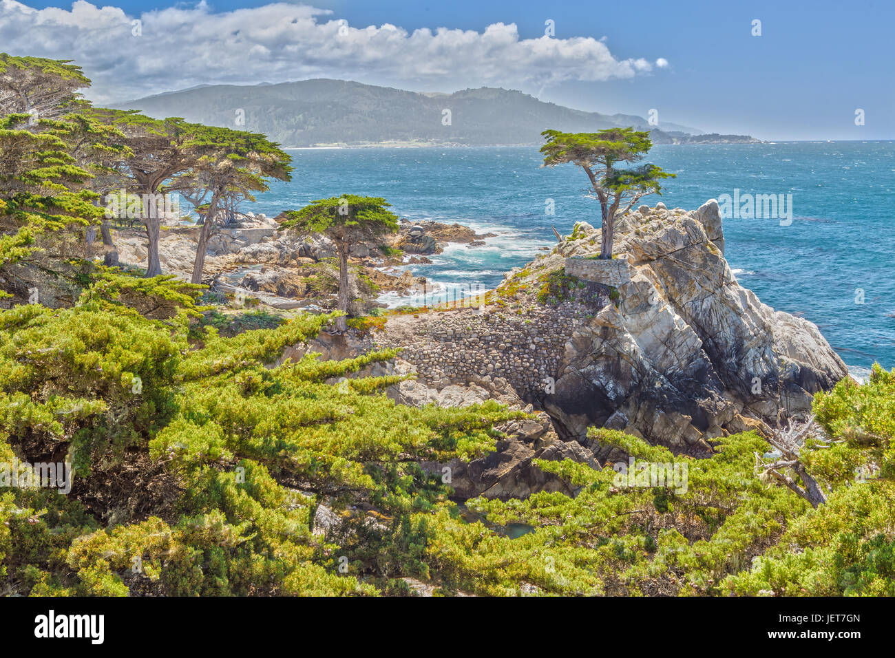 The Lone Cypress at 17 Miles Drive at Highway 1 in California Stock ...