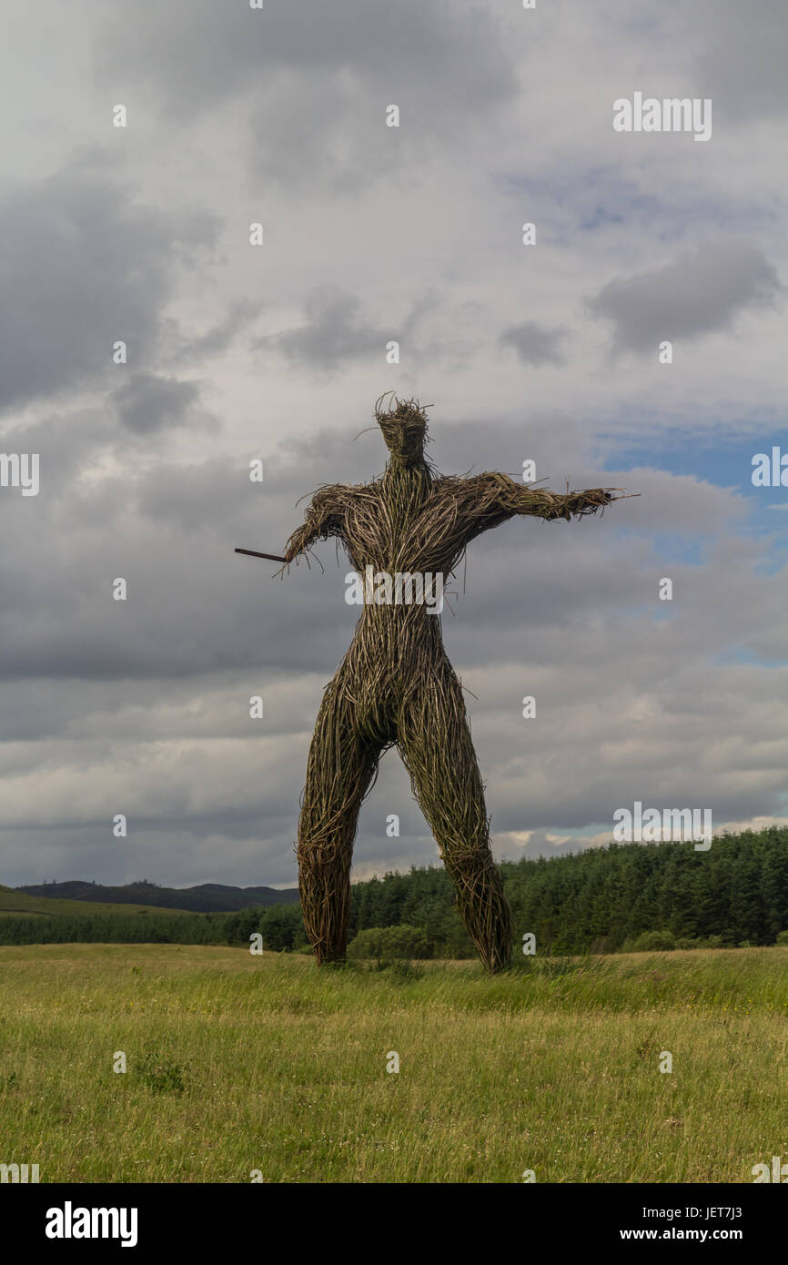 Wicker man festival hi-res stock photography and images - Alamy