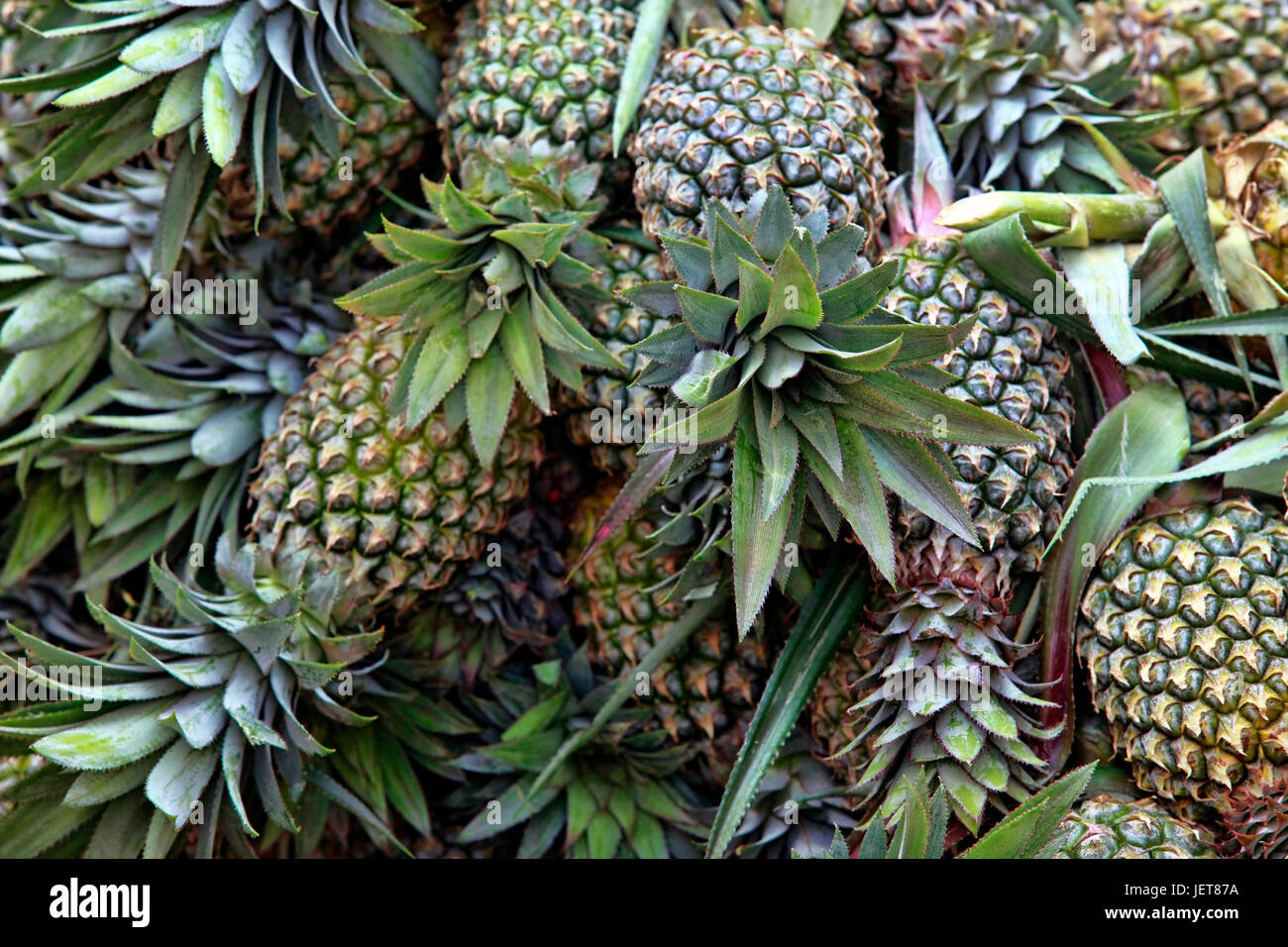 A bunch of fresh pineapple on the store counter Stock Photo - Alamy