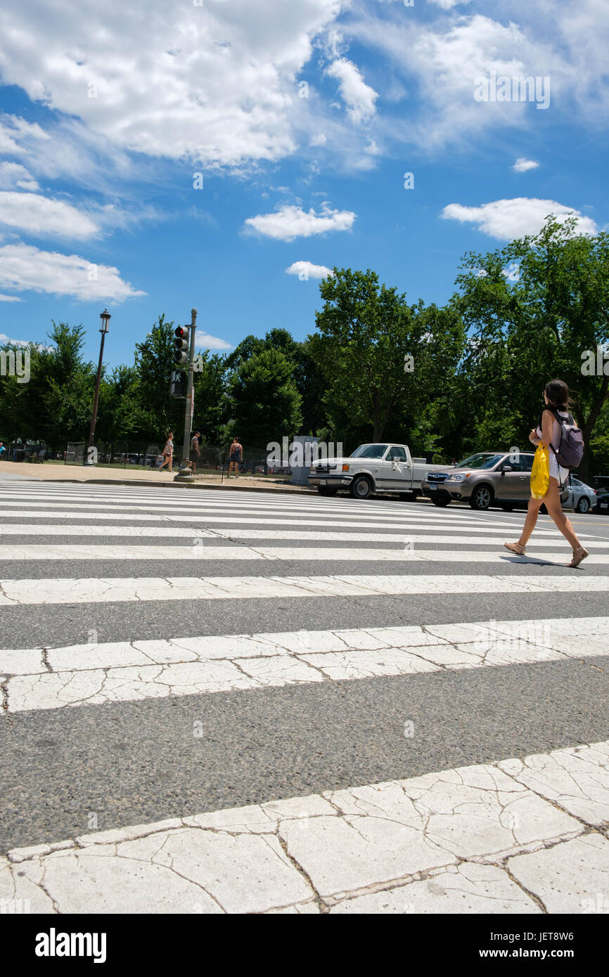 Crosswalk and trees hi-res stock photography and images - Alamy