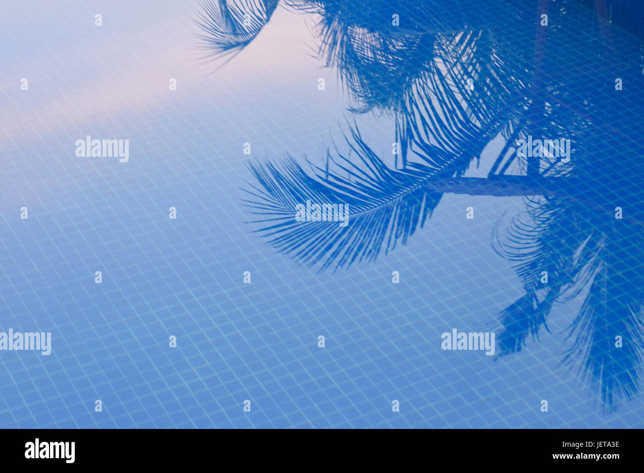 Vacations pool hi-res stock photography and images - Alamy